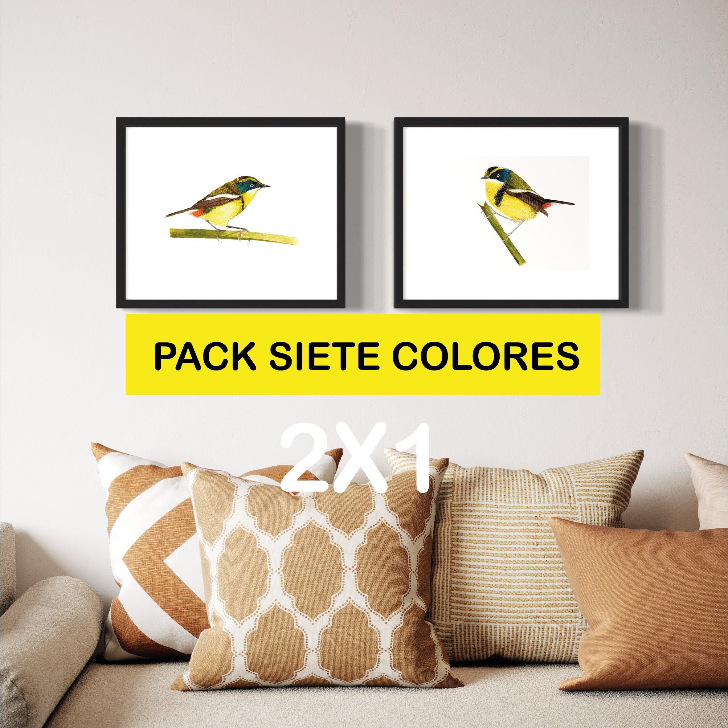 PACK Ilustraciones Siete colores – torcachile